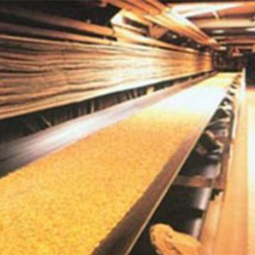 Oil Resistant Conveyor Belt | Industrial Oil Conveyor